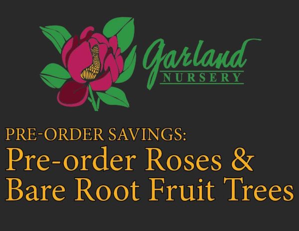 Garland Nursery – Inspiring Gardeners since 1937